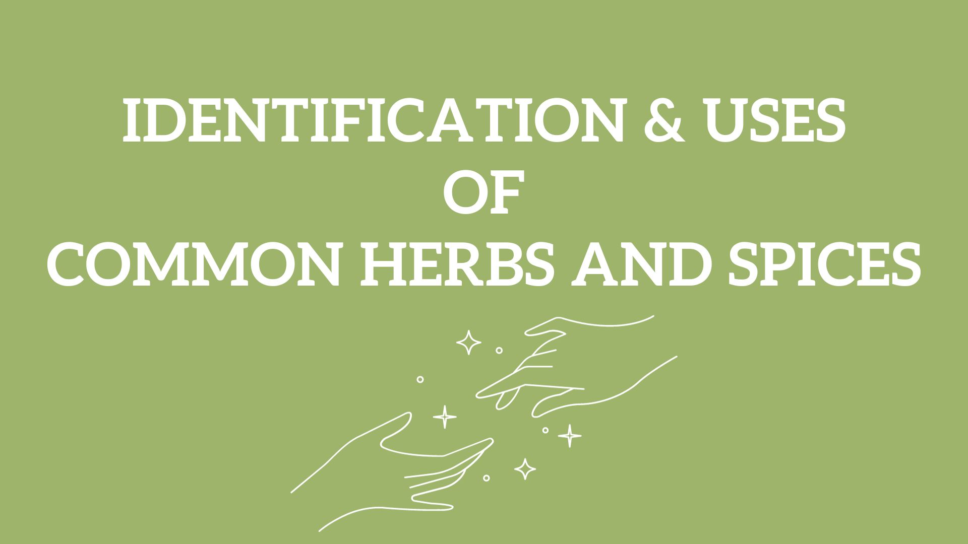 Identification and uses of common herbs and spices - Charak Ayurveda